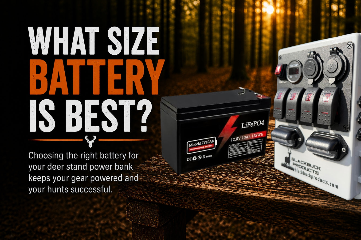 Choosing the Right Battery for Your Deer Stand Power Bank – Blackbuck ...